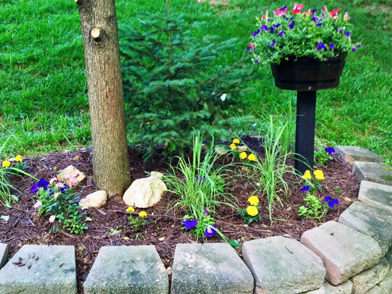 Garden Planter in 5 Easy Steps