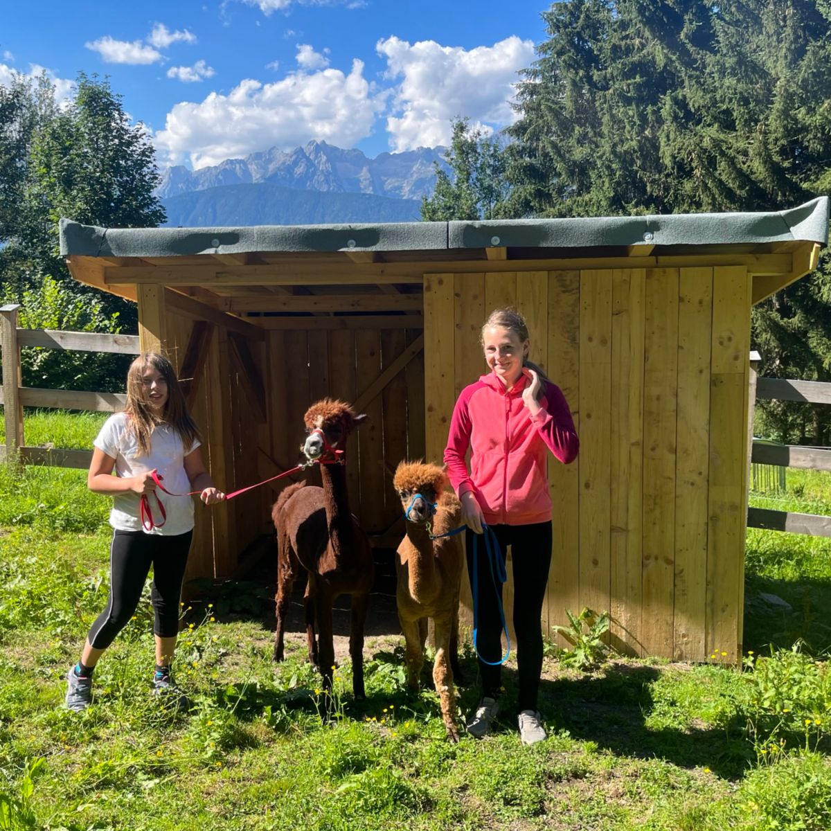 Sika Cares: Bitumen-Dachabdichtung für Tiroler Therapieeinrichtung ...