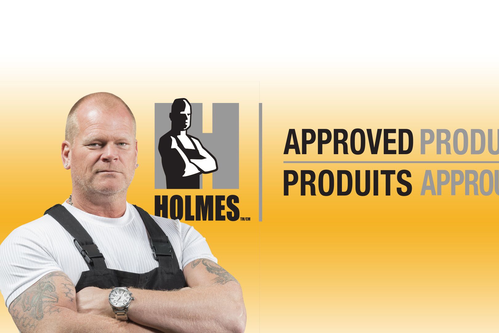 Mike Holmes