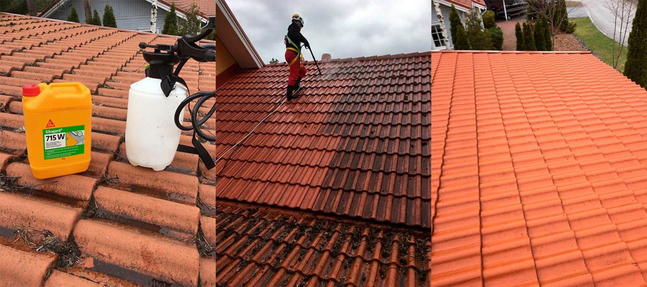 Sammaleen poisto katolta