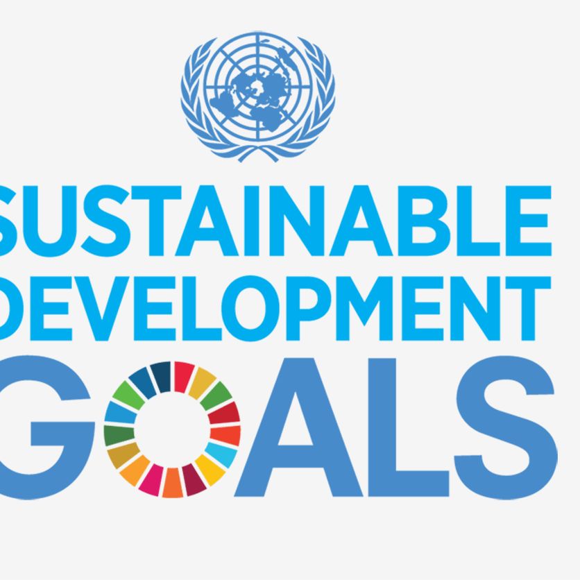 UN SDGs
