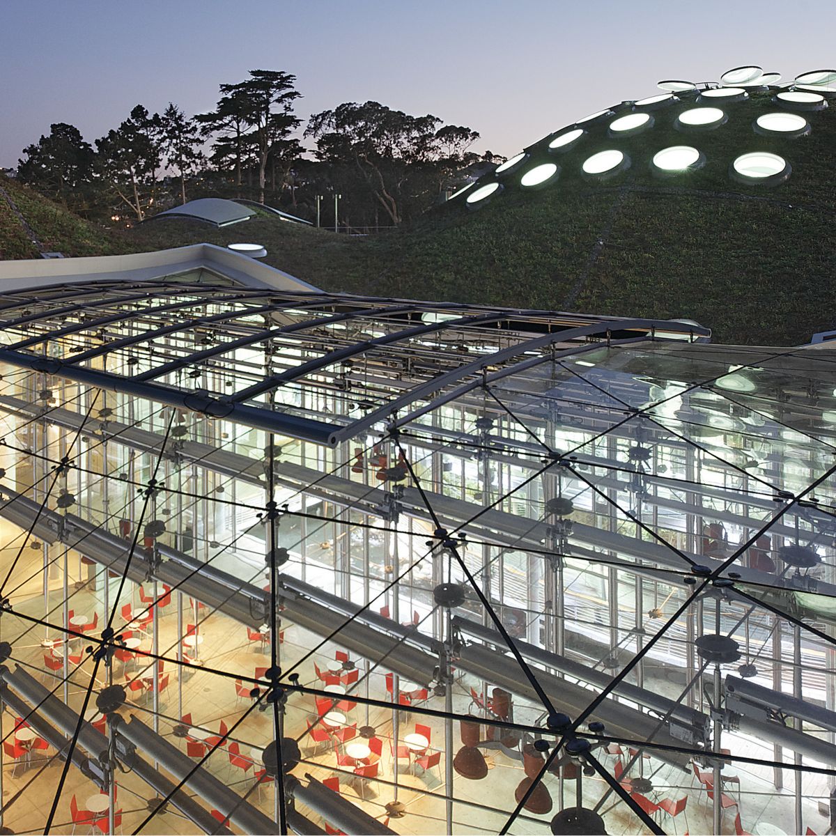 Académie des sciences de Californie | Sika