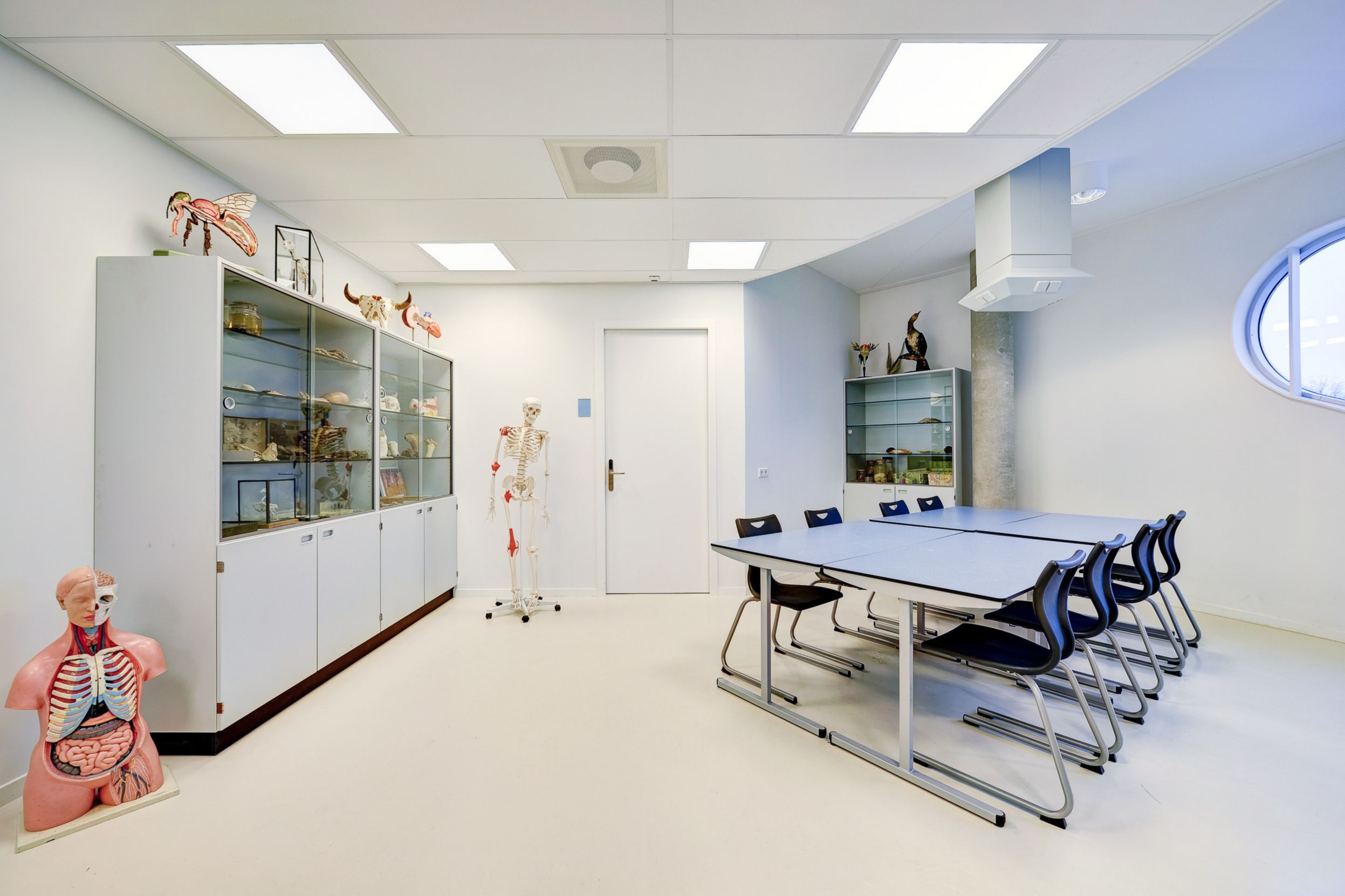 Educational & School Flooring