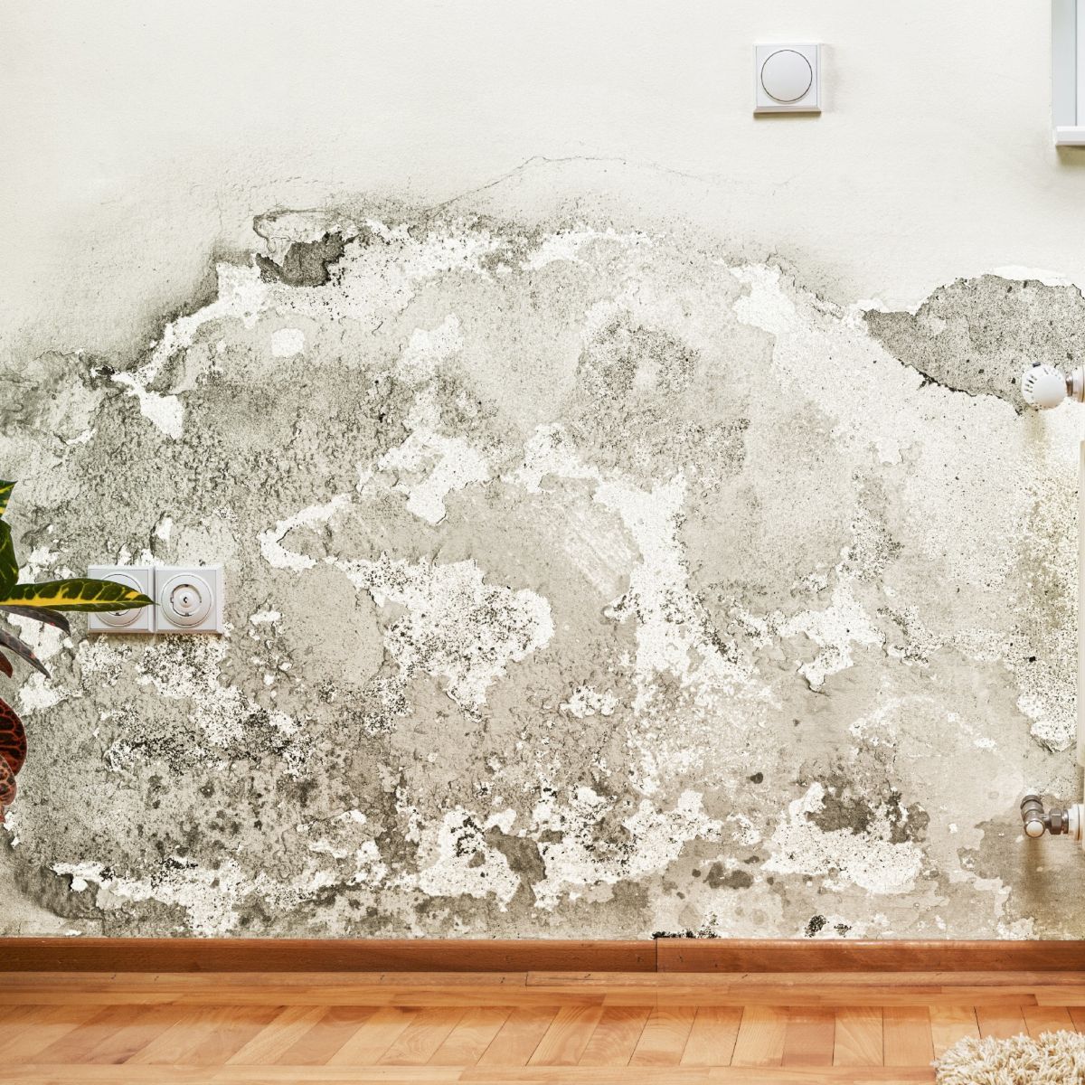 How to Waterproof a Pond | Sika Ethiopia