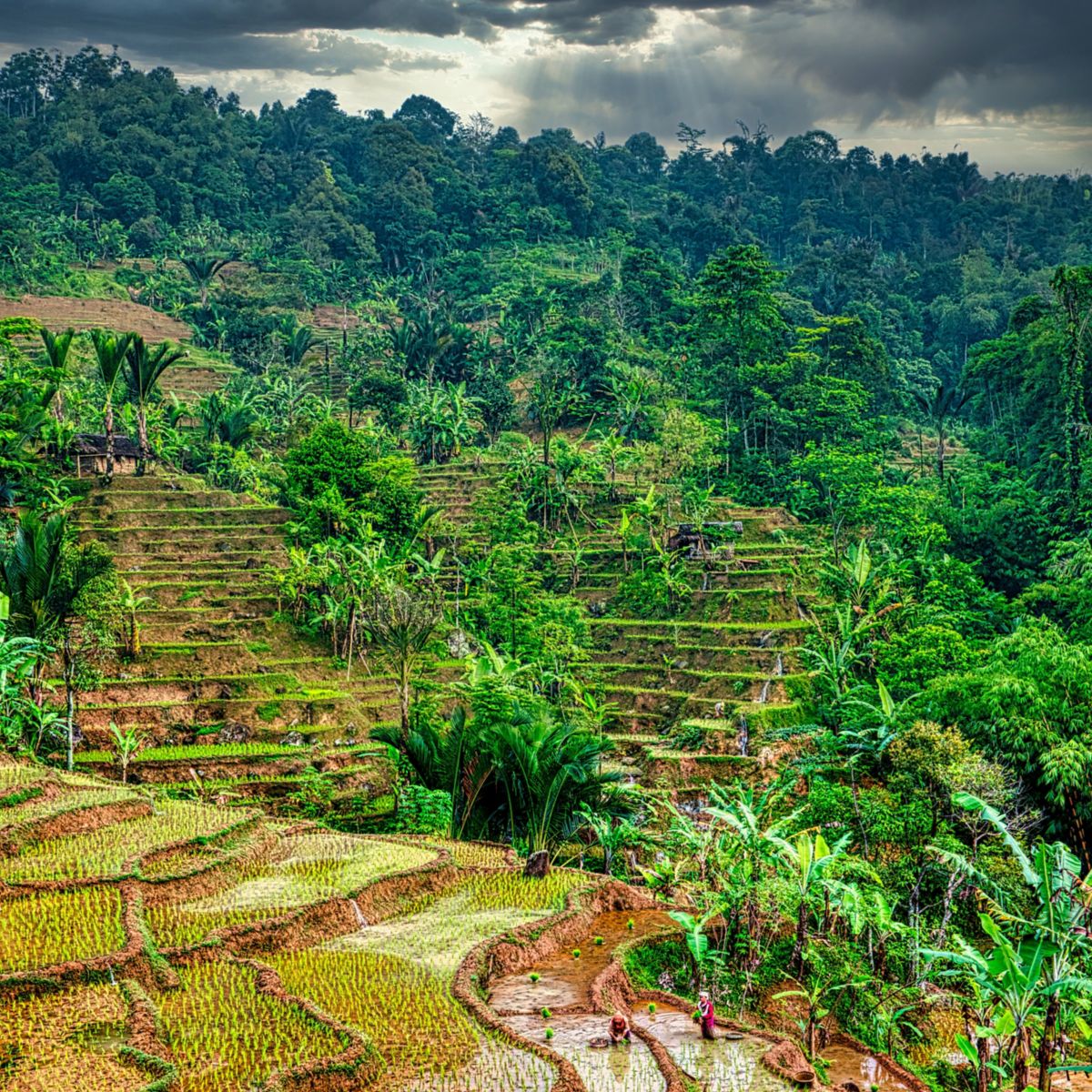 Biodiversity and Nature