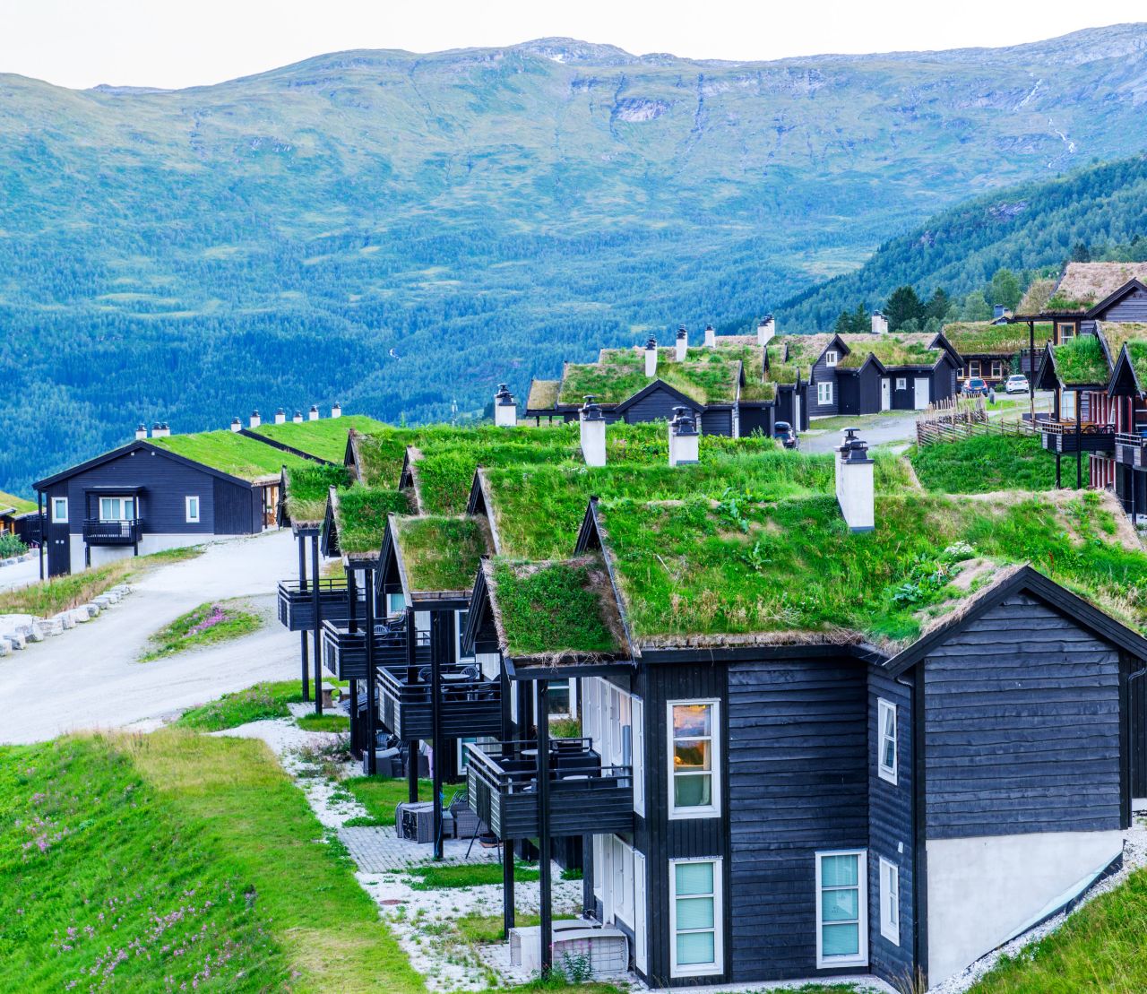 Tak med ballast/ grønne tak PVC/FPO