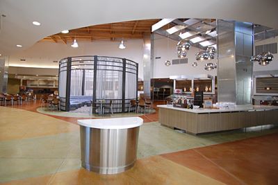 LITHOCHROME® Chemstain® Classic Project Gallery