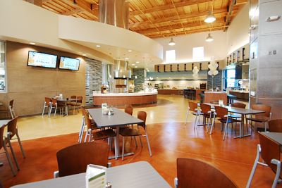 LITHOCHROME® Chemstain® Classic Project Gallery