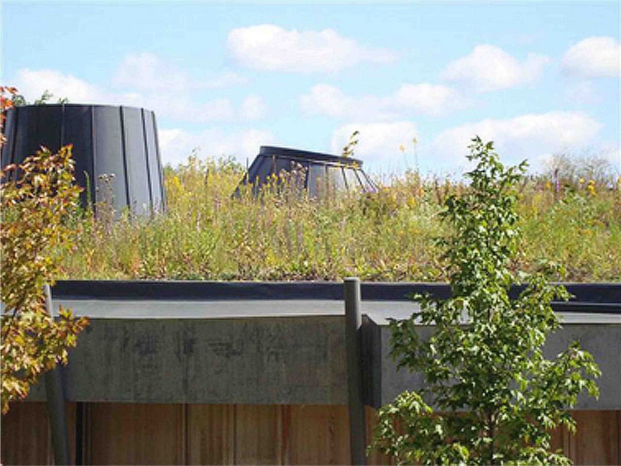 Atwater Commons Dining Hall