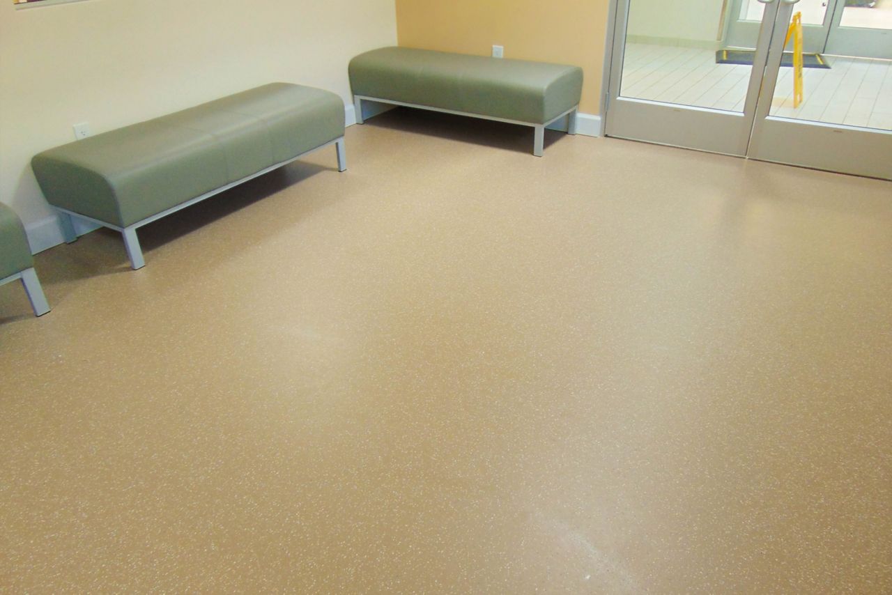 Veterinary & Animal Facilities