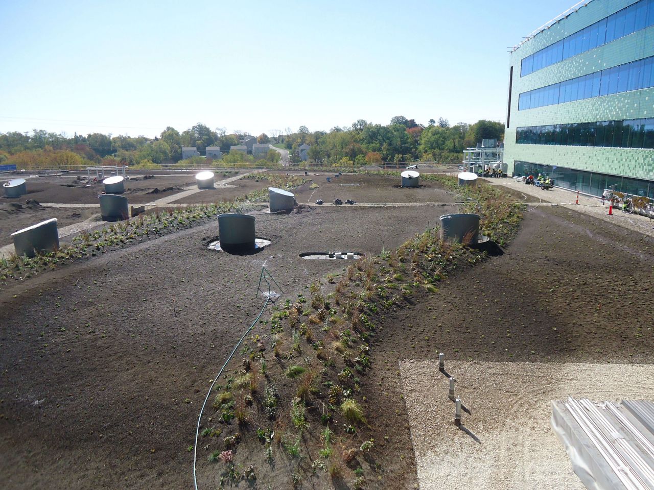 Mercy Hospital Green Roof