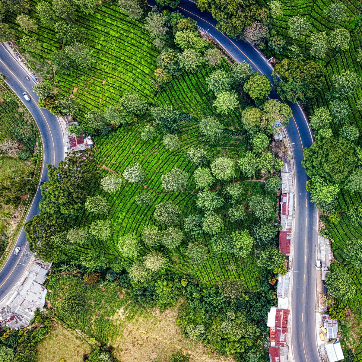 Sika publishes methodology to calculate its scope 3 greenhouse gas (GHG)