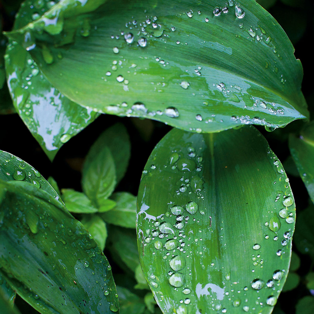 Sika Solutions – Essential for a Safe Water Life Cycle