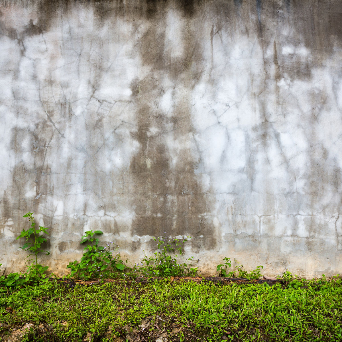 7 Tips Ampuh Mengatasi Tembok Lembab dan Berjamur